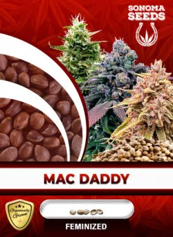 Mac Daddy Strain Feminized Marijuana Seeds | Sonoma Seeds