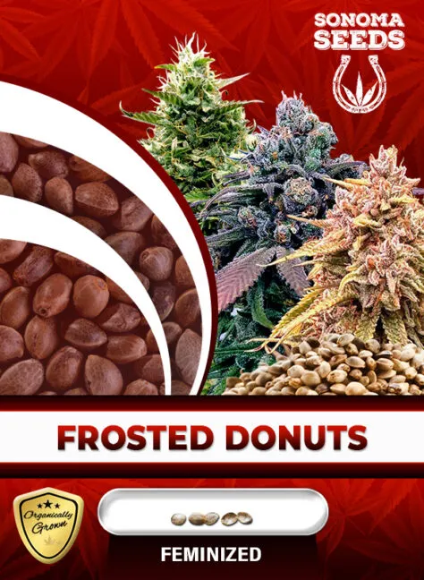 Frosted Donuts Strain Feminized Marijuana Seeds | Sonoma Seeds
